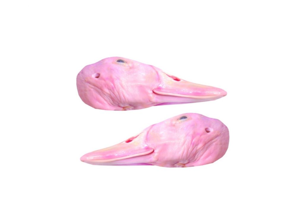 Duck Head - BELLO ALIMENTOS LTDA